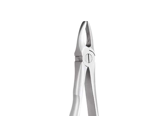 EXTRACTION FORCEPS PREMIUM