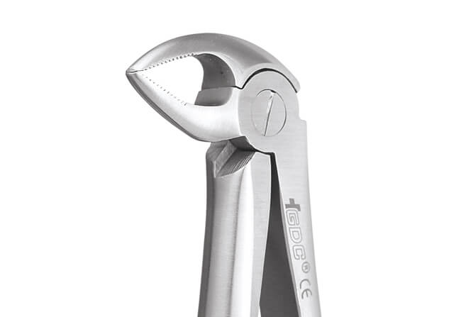 EXTRACTION FORCEPS PREMIUM