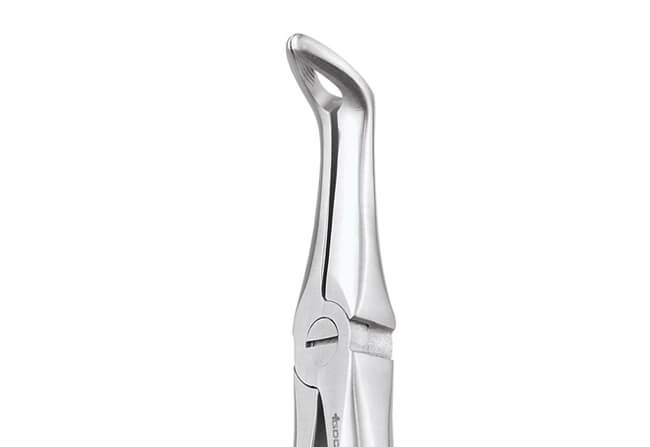 EXTRACTION FORCEPS PREMIUM