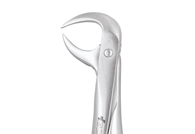 LOWER MOLAR No. 86AP